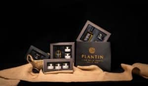 Homepage - Magazine PLANTIN