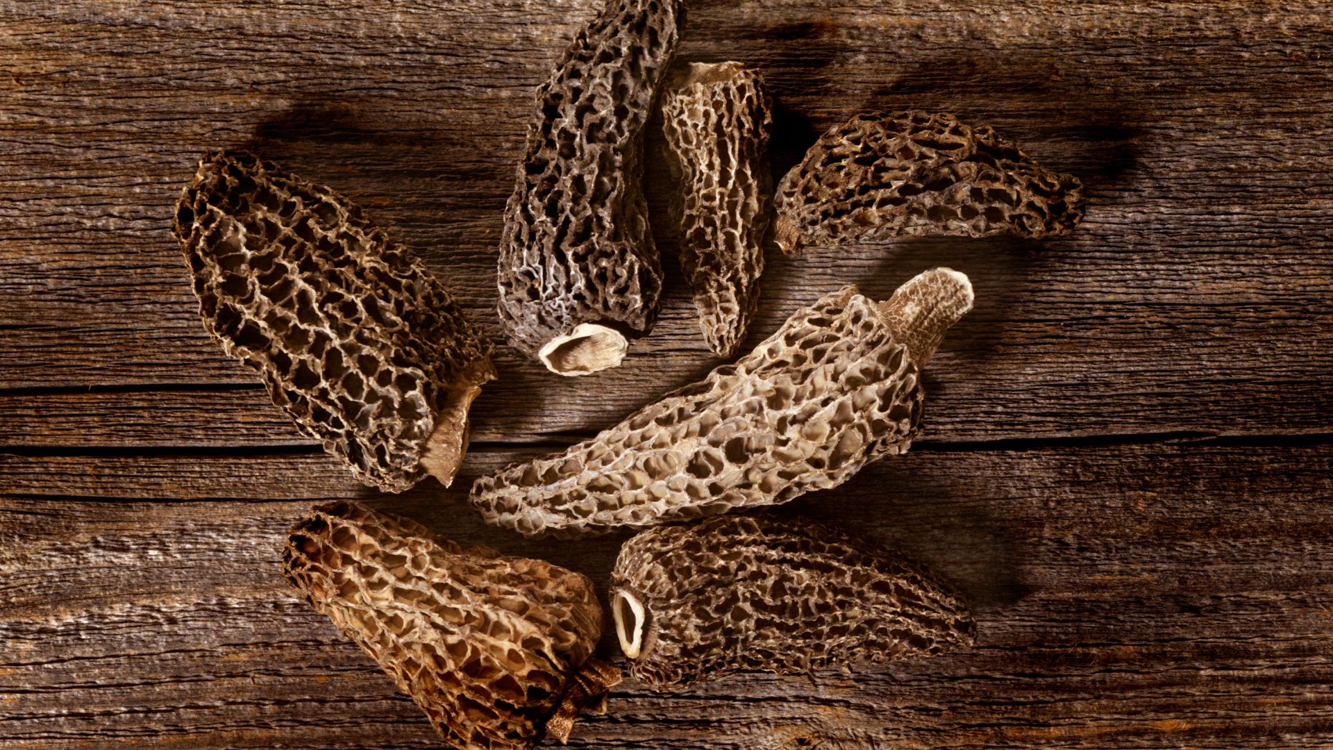 La cueillette des morilles : conseils, saison et précautions