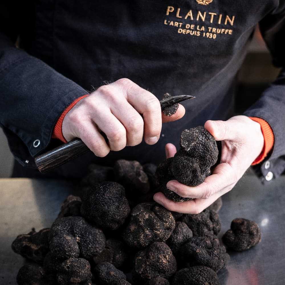 PLANTIN - L'Art de la truffe depuis 1930