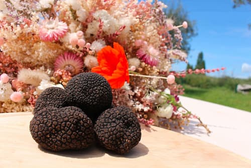 PLANTIN - The Art of the truffle since 1930