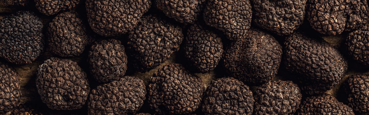 PLANTIN - The Art of the truffle since 1930